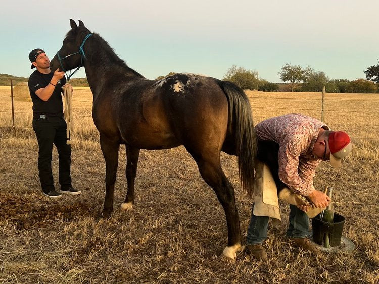 Laughlin Farm – Laughlin Farms